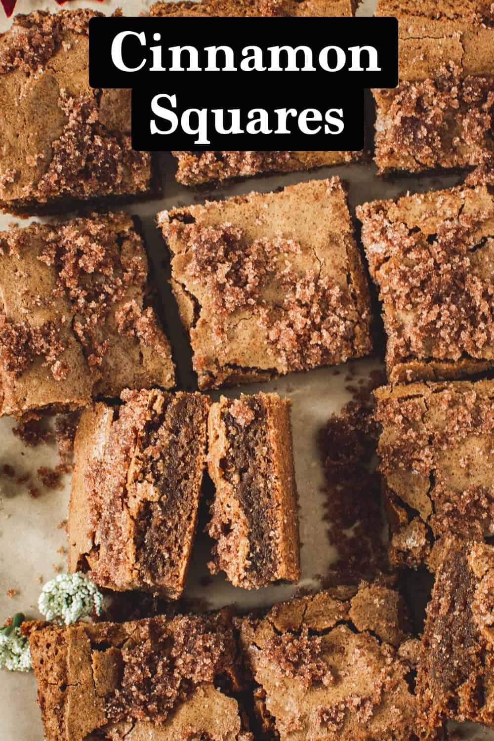 Cinnamon Squares - Aimee Mars