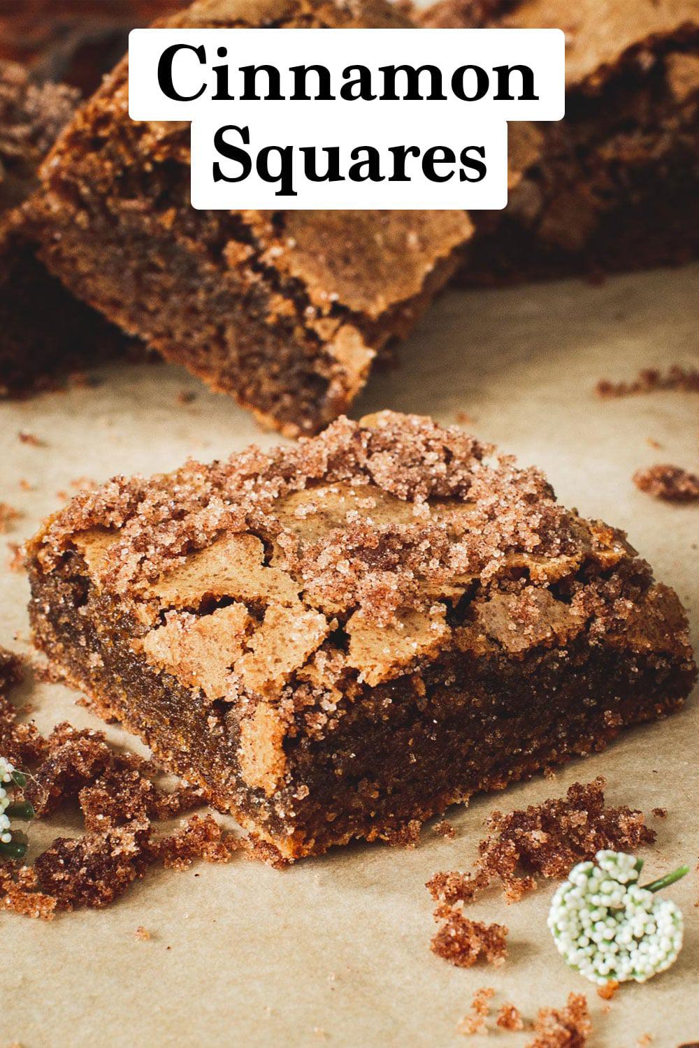 Cinnamon Squares - Aimee Mars